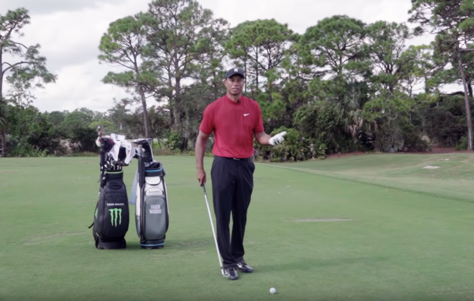 Vidéo : Tiger vous explique son secret pour faire son fameux Stinger ...