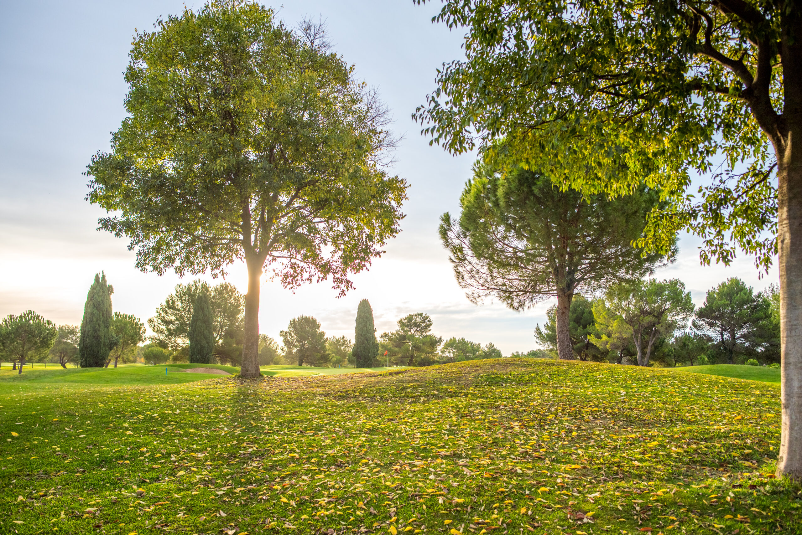 Golf de Montpellier Massane : un avenir en vert et avec tous - Golf Planète
