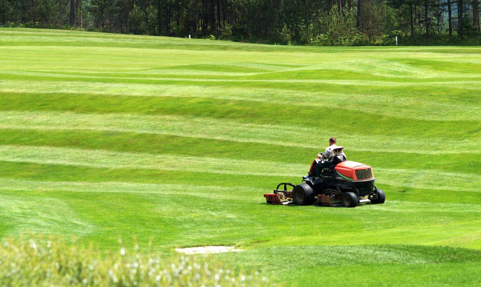 Organogreen : une nouvelle approche face au défi environnemental des ...