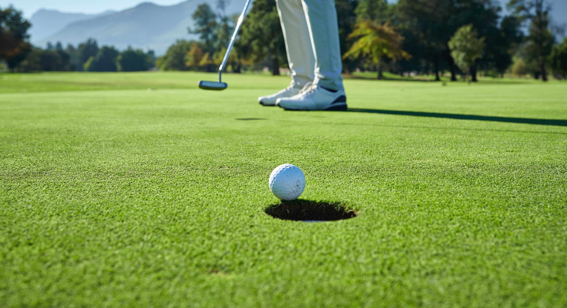 Organogreen : une nouvelle approche face au défi environnemental des ...